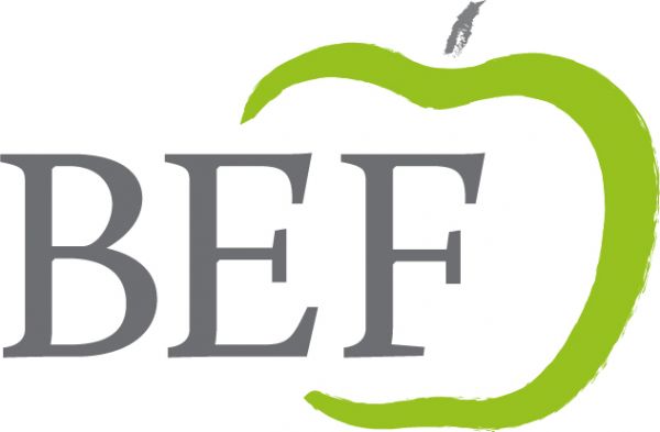 BEF Logos – Brookline Education Foundation